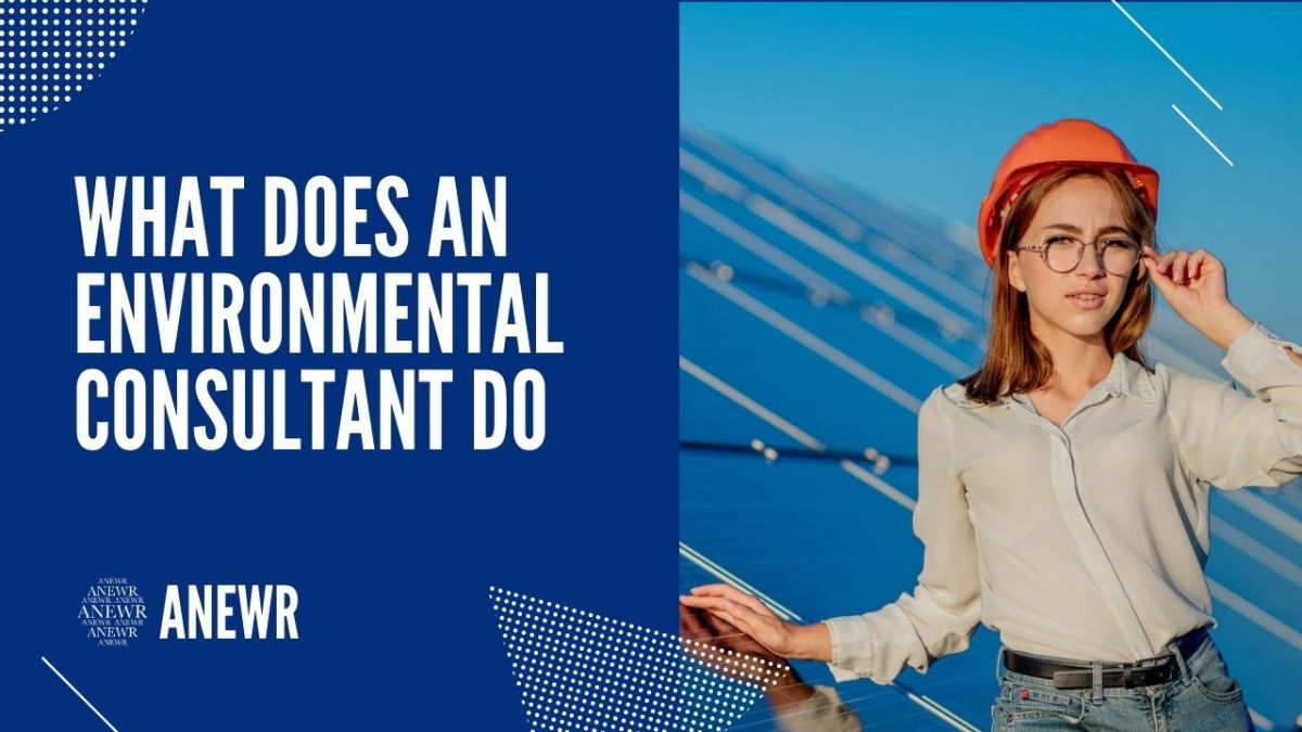 What does an environmental consultant do – a showcase of a Hong Kong ...