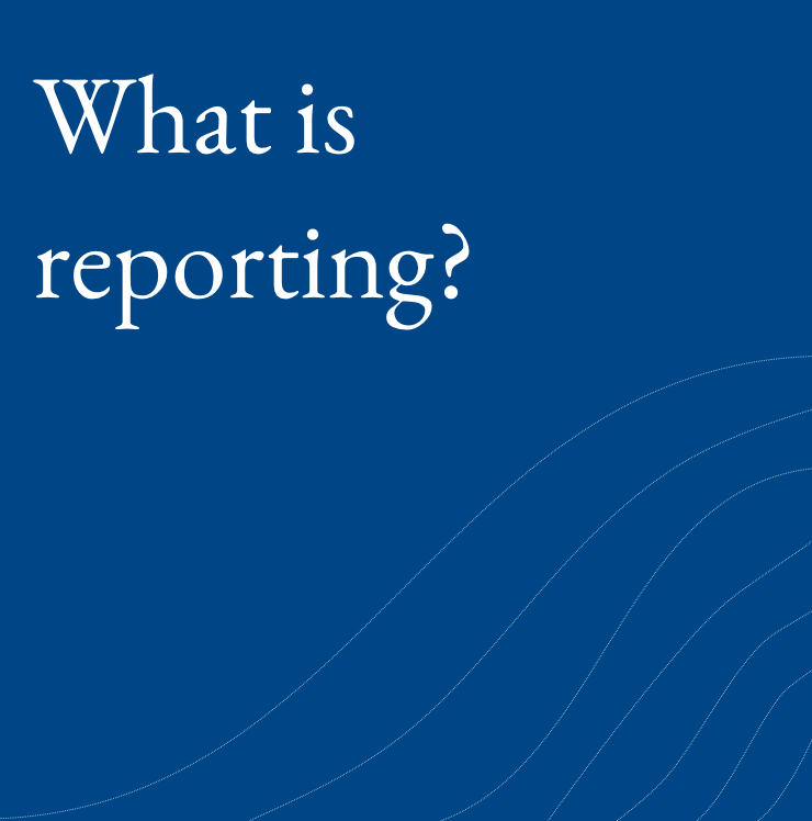 Sustainability pioneer’s advice on meaningful reporting – ANewR Consulting