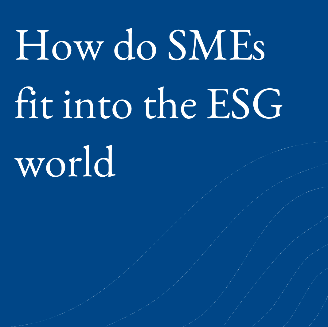 How do SMEs fit into the ESG world? – ANewR Consulting